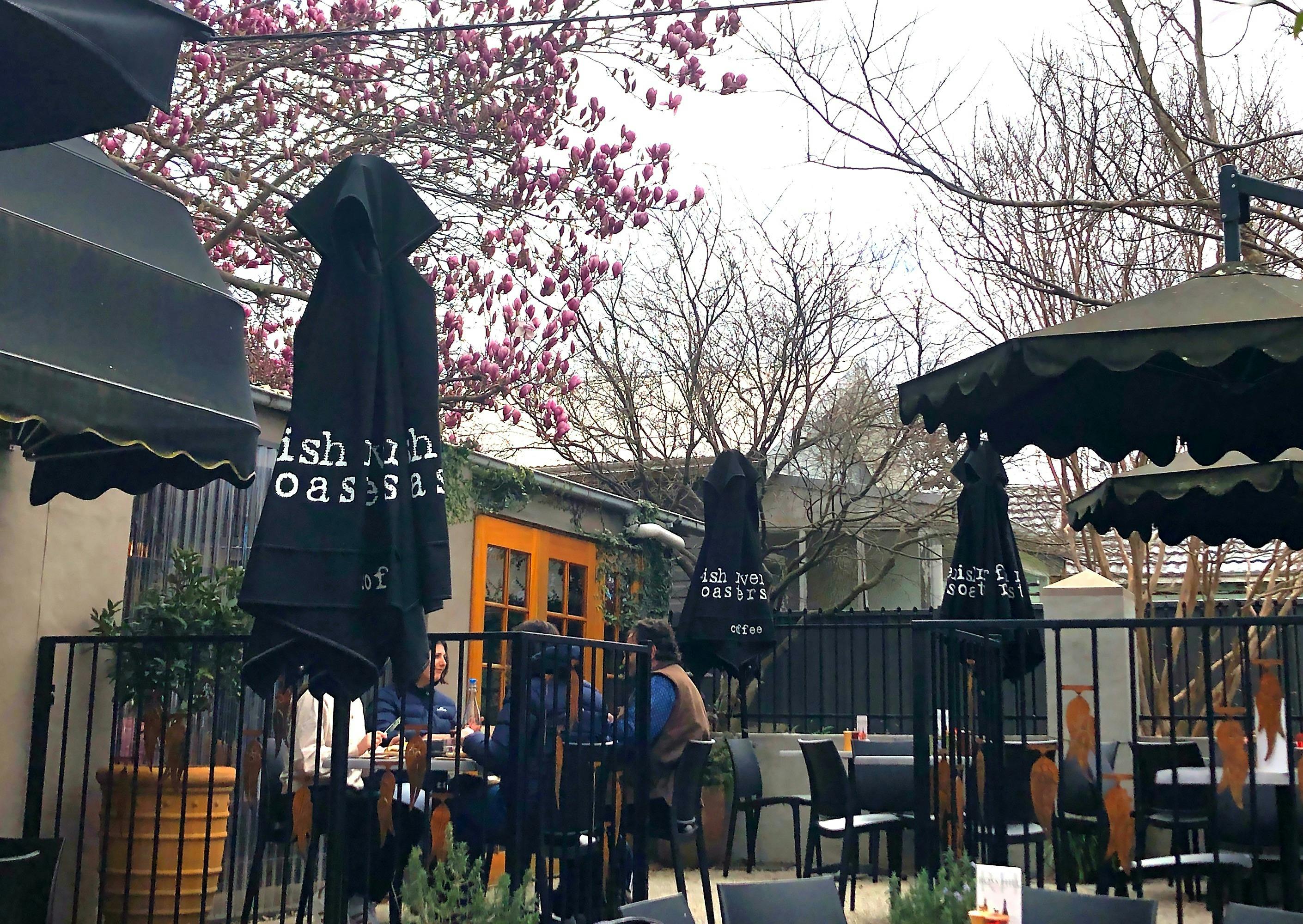 Nile Street Cafe | NSW Holidays & Accommodation, Things to Do ...