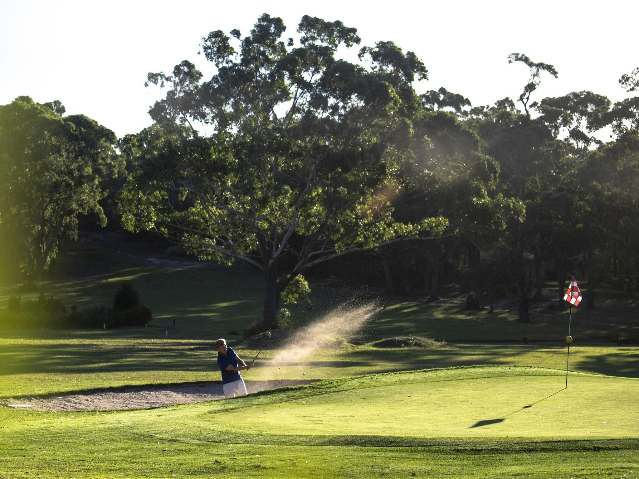 Berrara Beach | NSW Holidays & Accommodation, Things to Do, Attractions ...