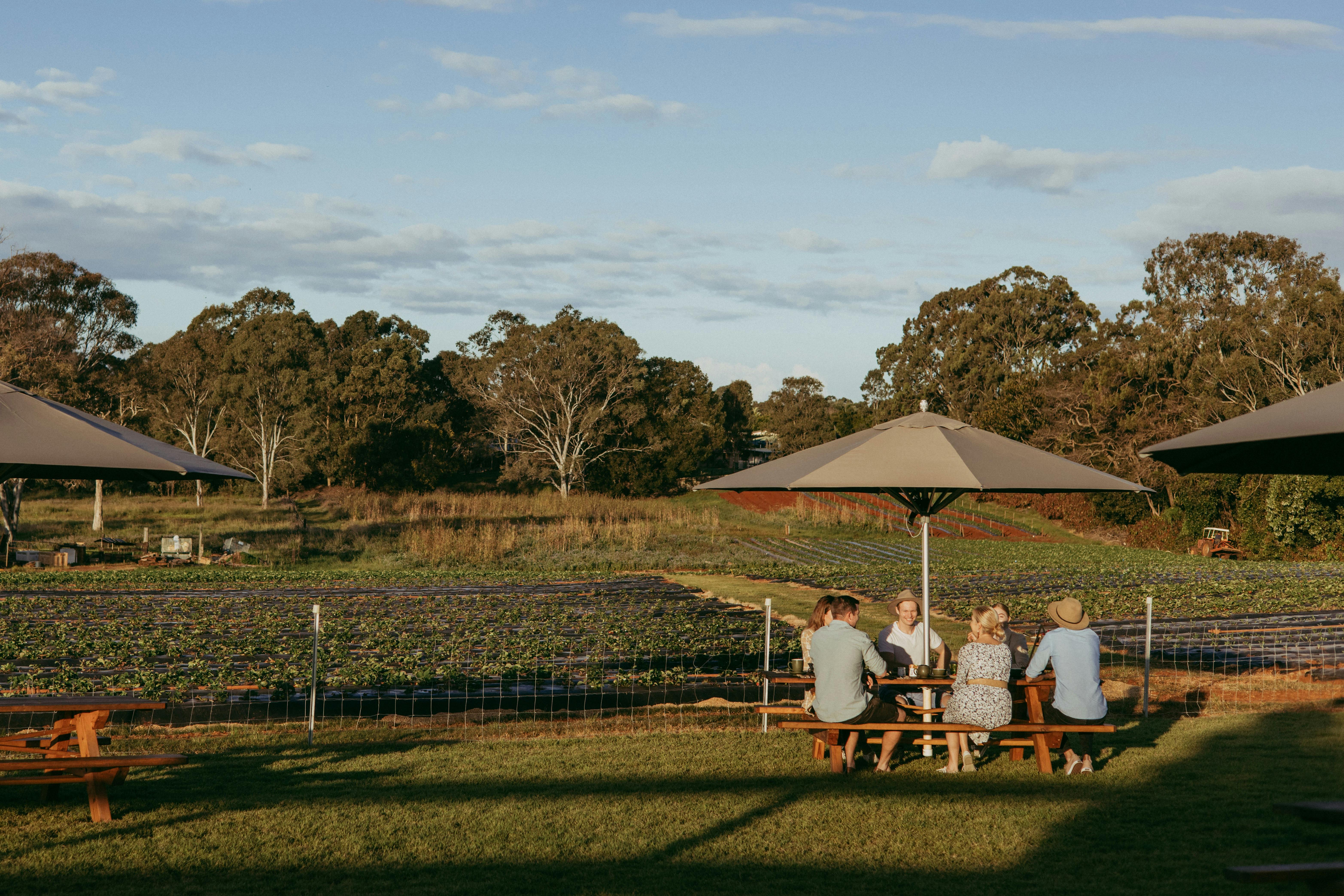 Wellington Point Farm