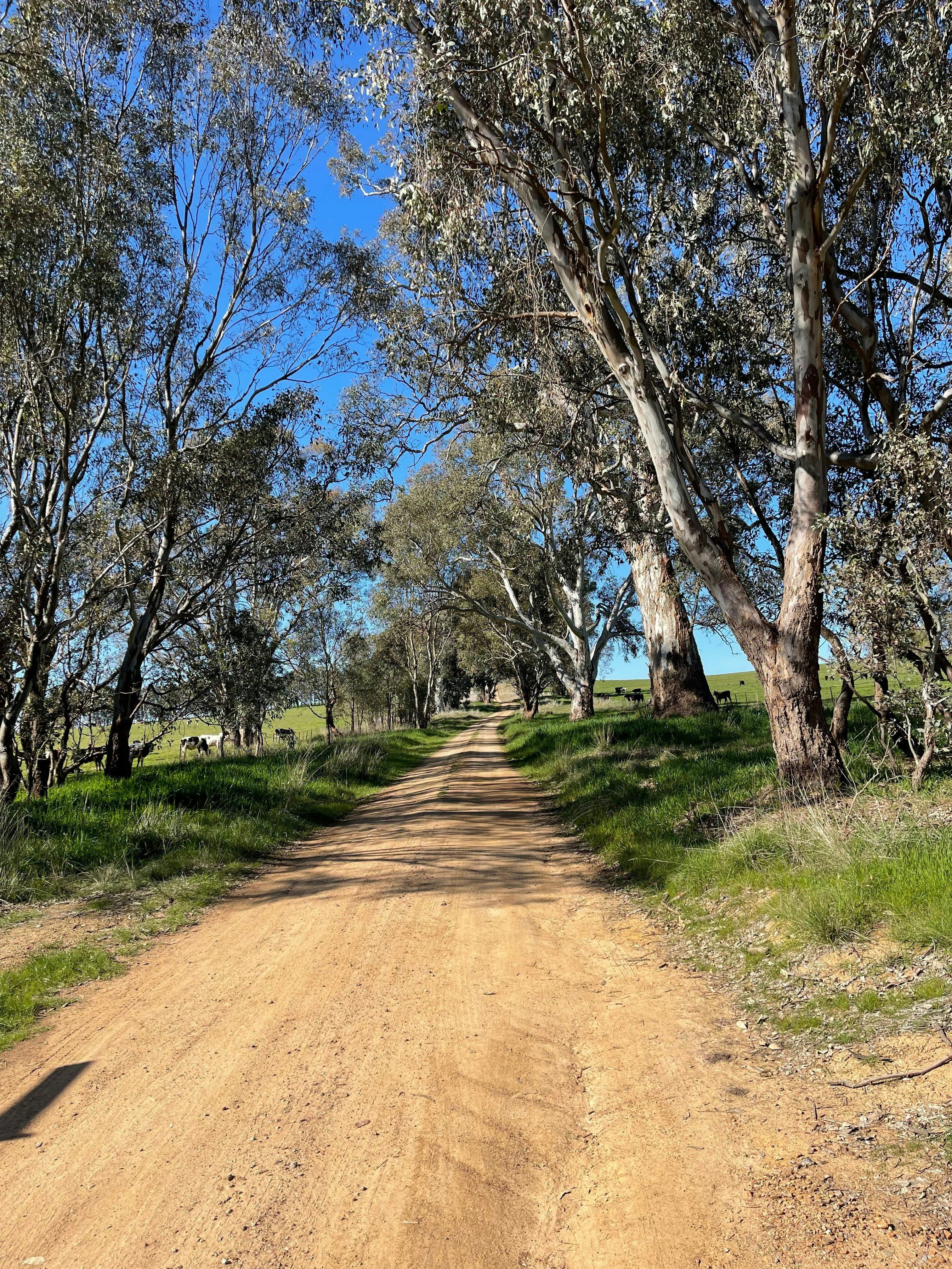 Glenrowan Kelly Loop - Victoria's High Country