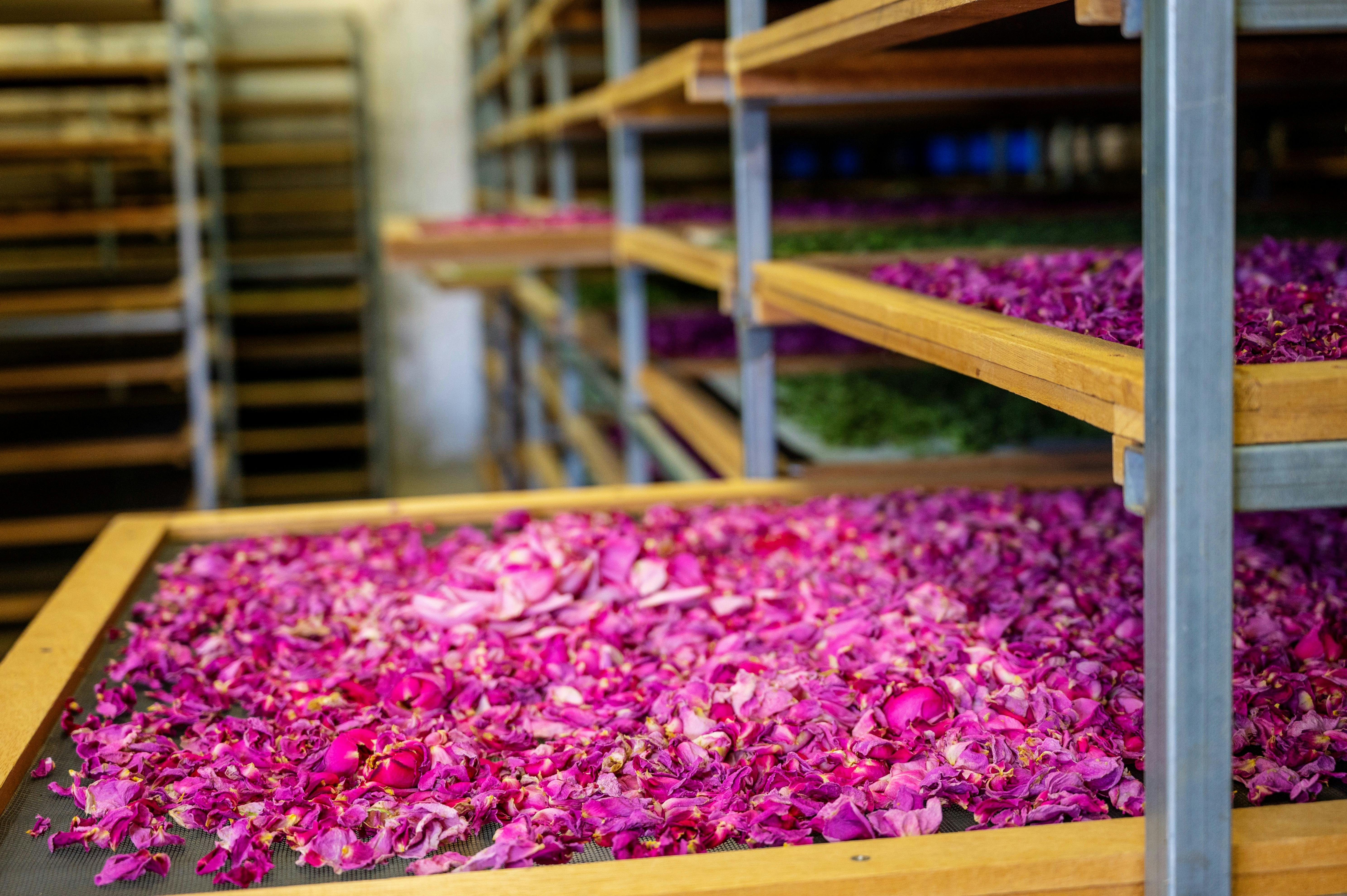 Jurlique Farm Tours & Experiences - Biggs Flat, Tour | South Australia