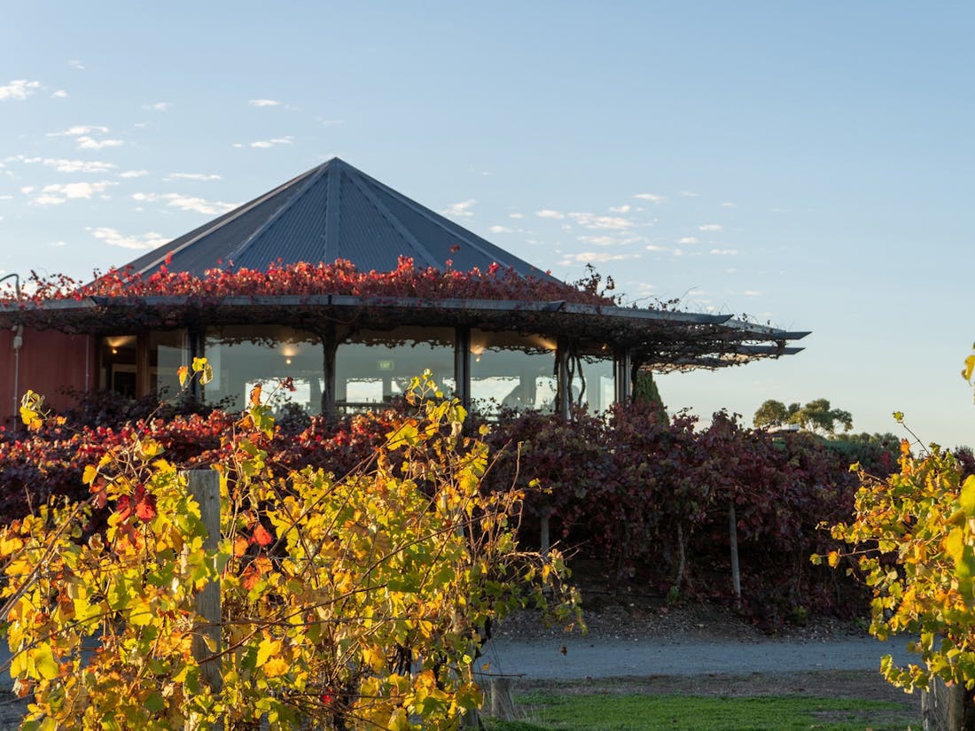 Hugh Hamilton Wines - McLaren Vale, | Tour Down Under