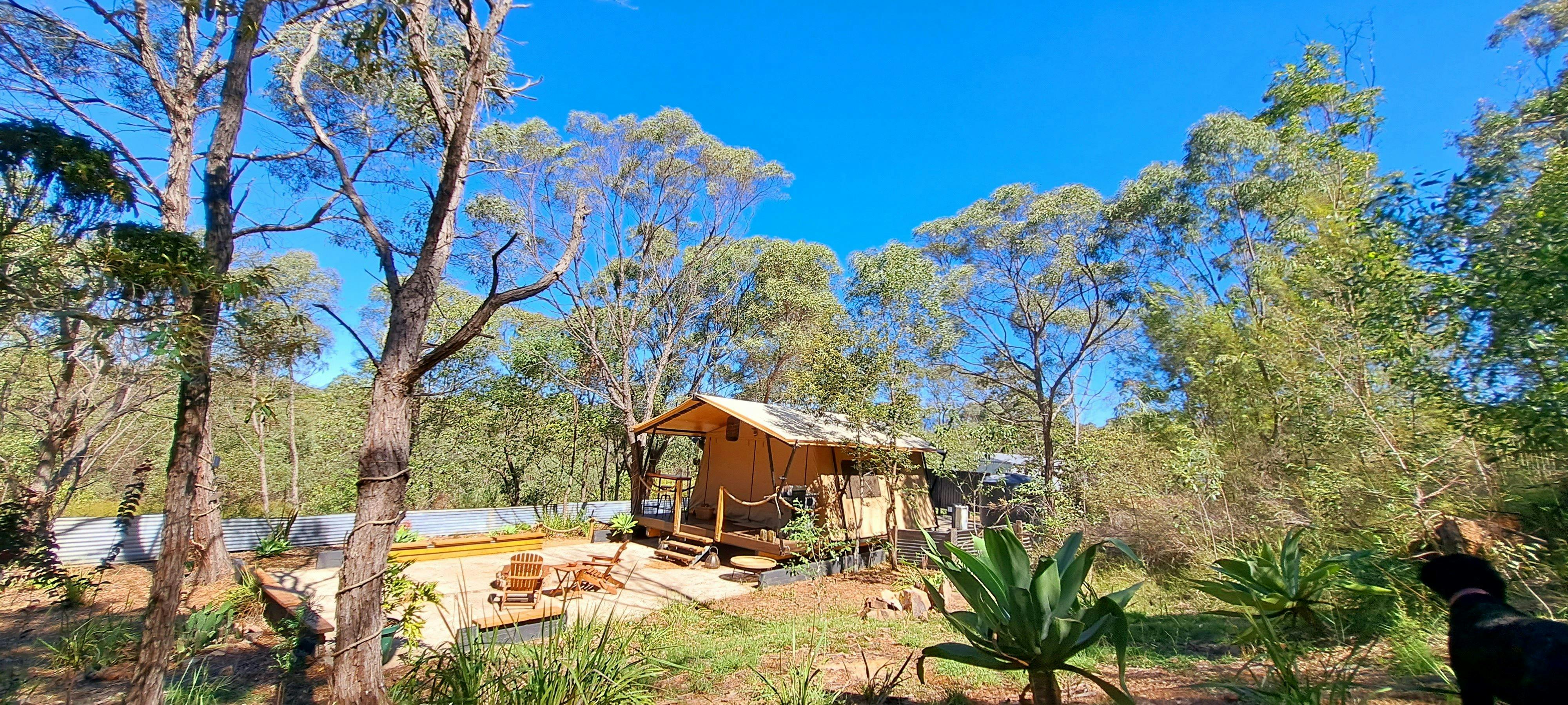 Moogie Glamp at Lake Moogerah