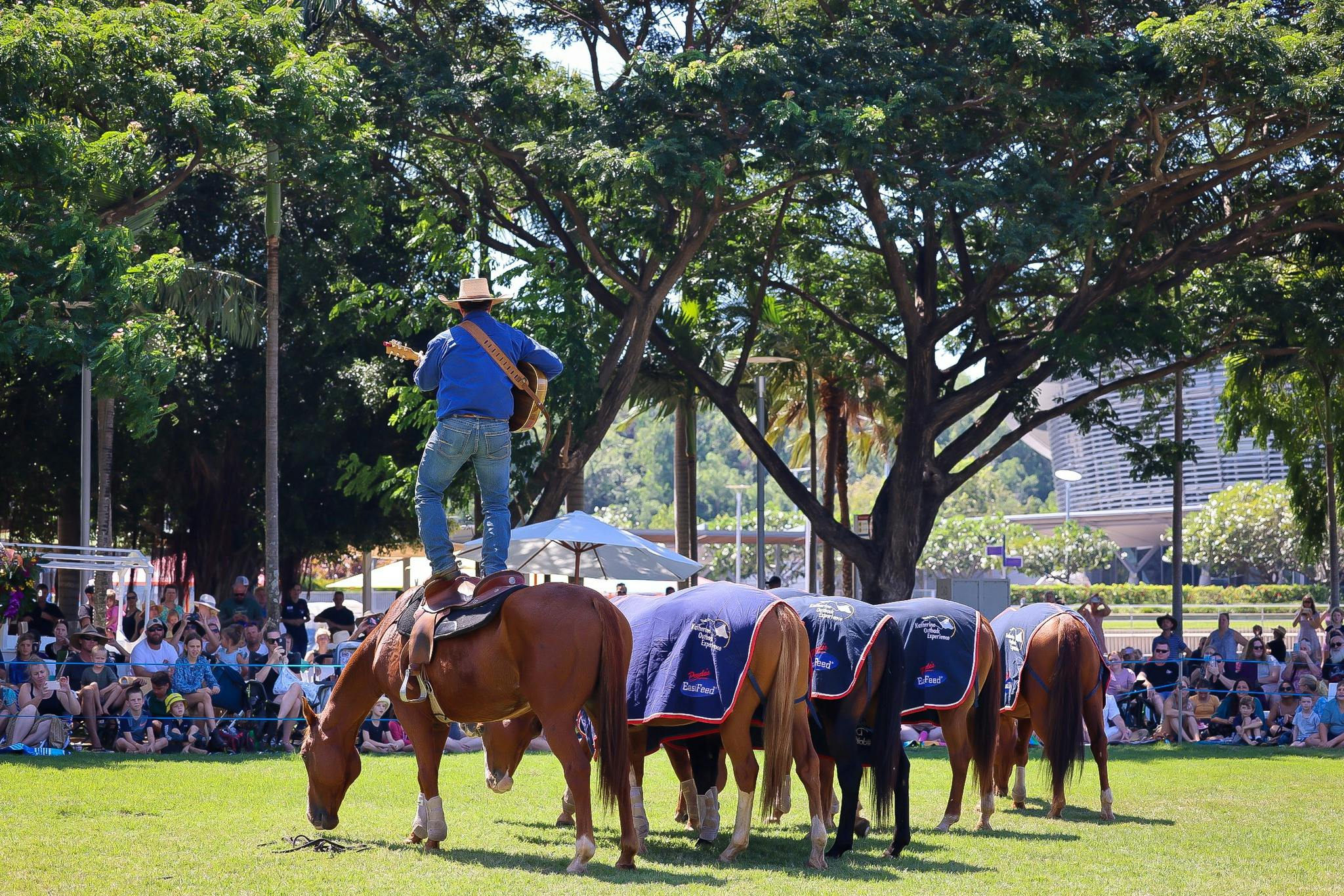 Tom Curtain's Katherine Outback Experience Show - Boonah, QLD