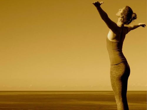 Mollymook NSW - Plan a Holiday - Things to Do, Mollymook Beach & Maps