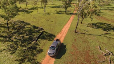 Simba Car Hire Cairns Airport | Hire | Queensland