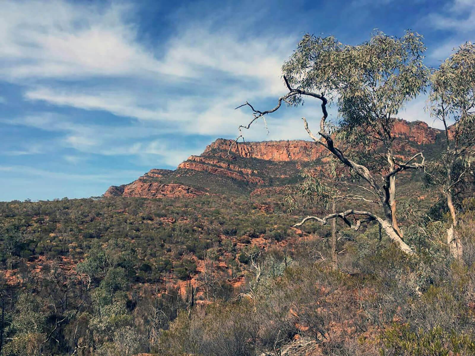 4 Day Northern Flinders Ranges Weekender For Women, Tour Service ...