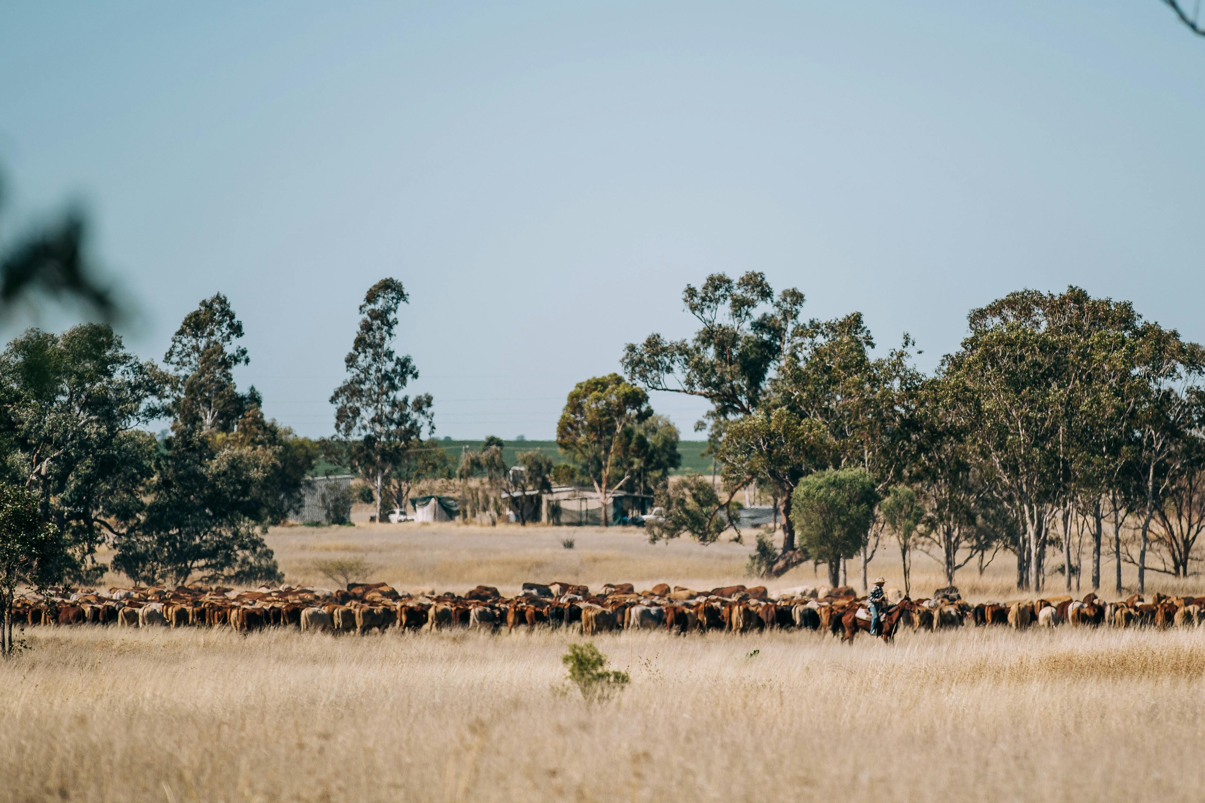 Outback Landscapes | Journeys | Queensland
