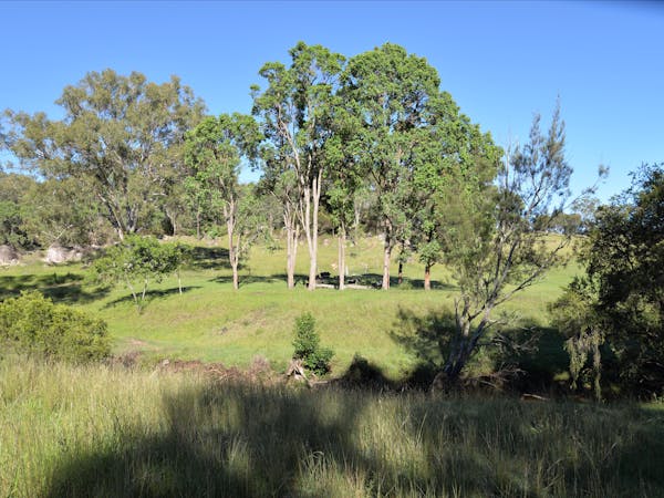 Maidenwell | Destination-information | Queensland