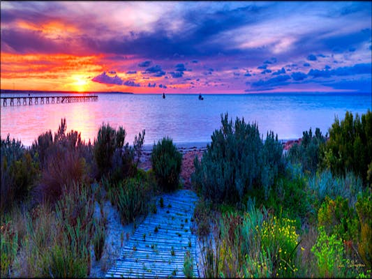Marion Bay Caravan Park - Marion Bay, Accommodation
