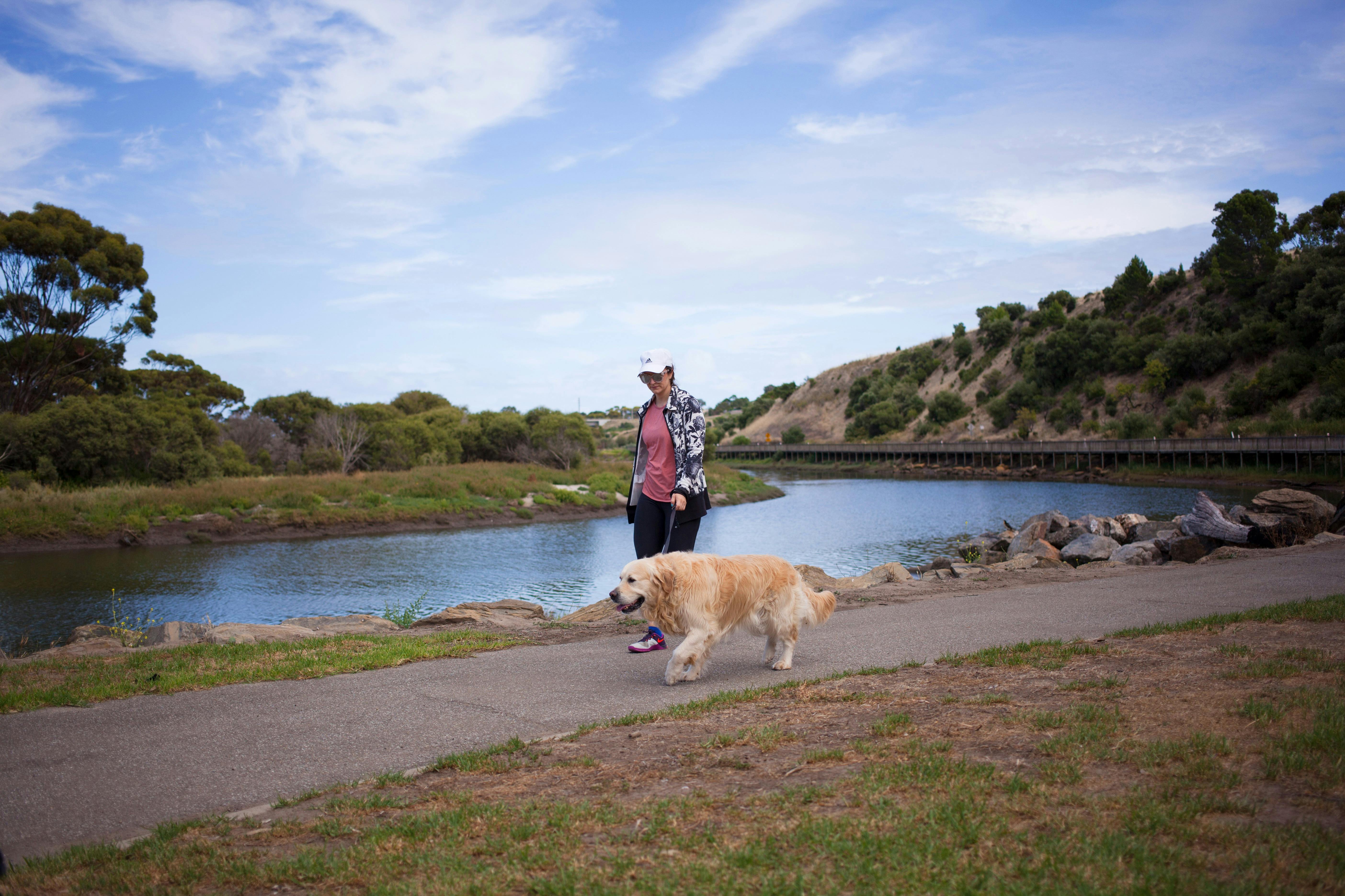 Onkaparinga River Recreation Park in Noarlunga Downs - The Fold: Your ...