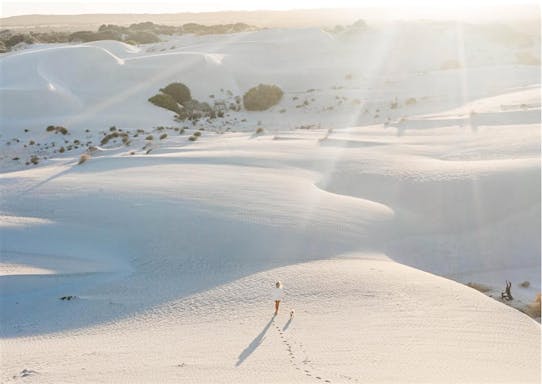 Yanerbie Sandhills - Yanerbie, Attraction | South Australia