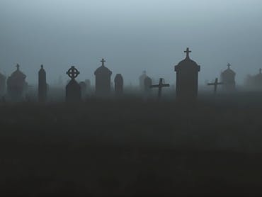 Windorah Caravan Park | Accommodation | Queensland