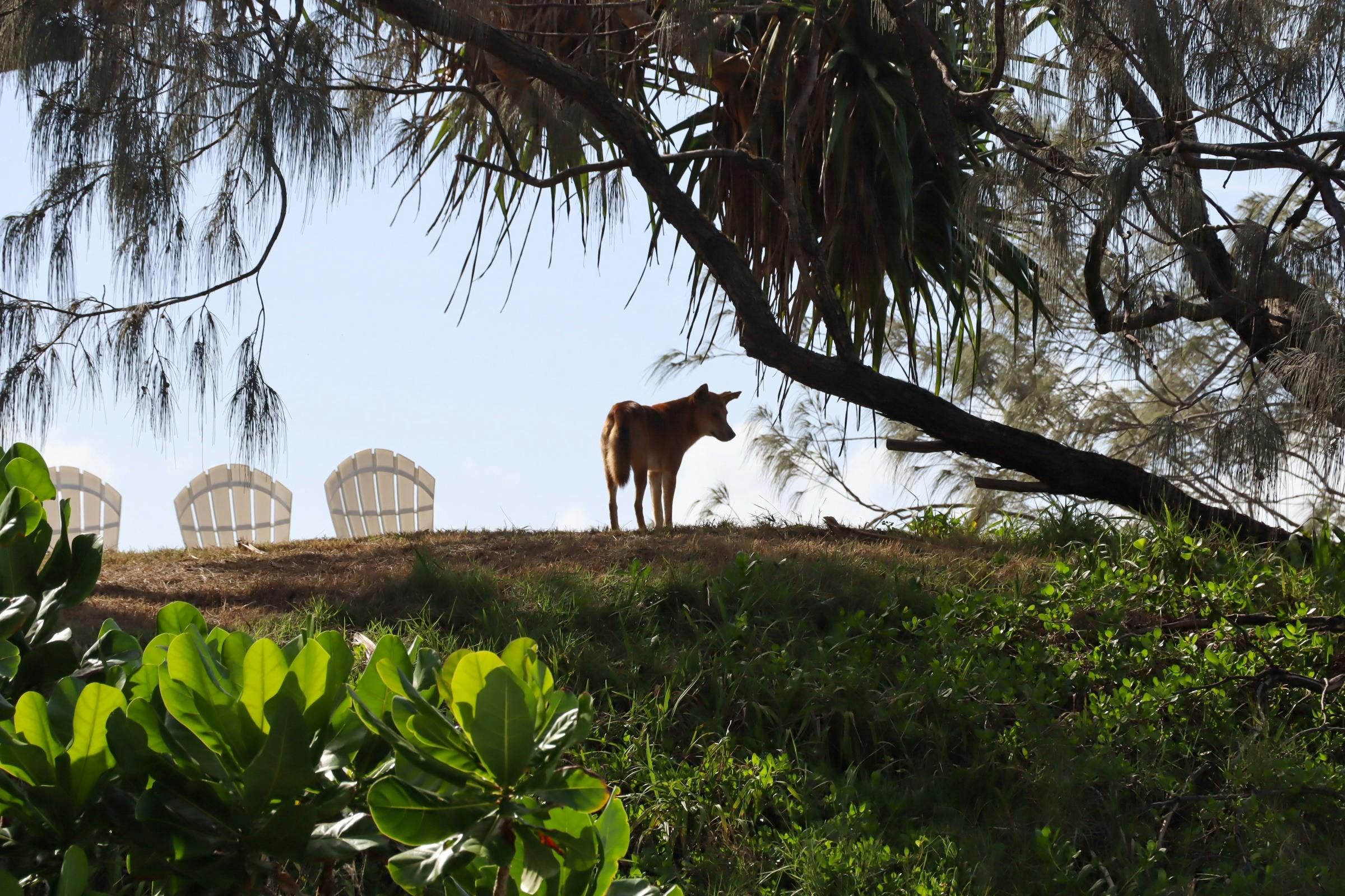 The Haven on K'gari | Visit Fraser Coast
