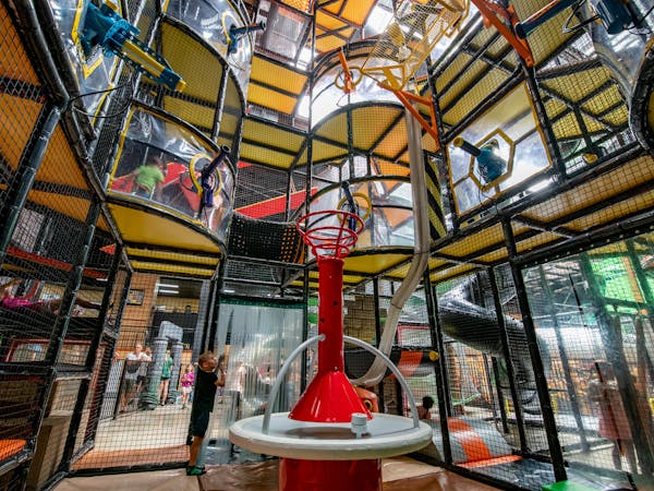 The Jungle Adventure Play/1000 | Attractions | Queensland