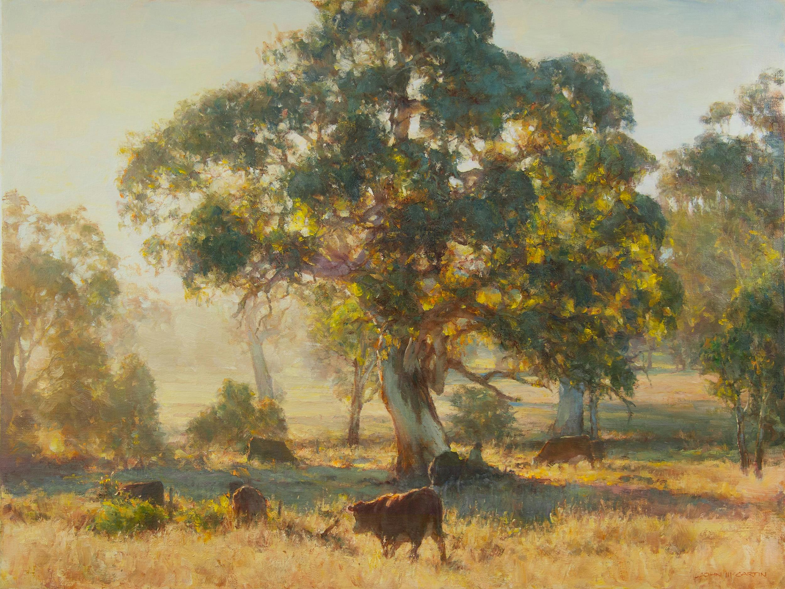 Festival of Two Palettes | NSW Holidays & Accommodation, Things to Do ...