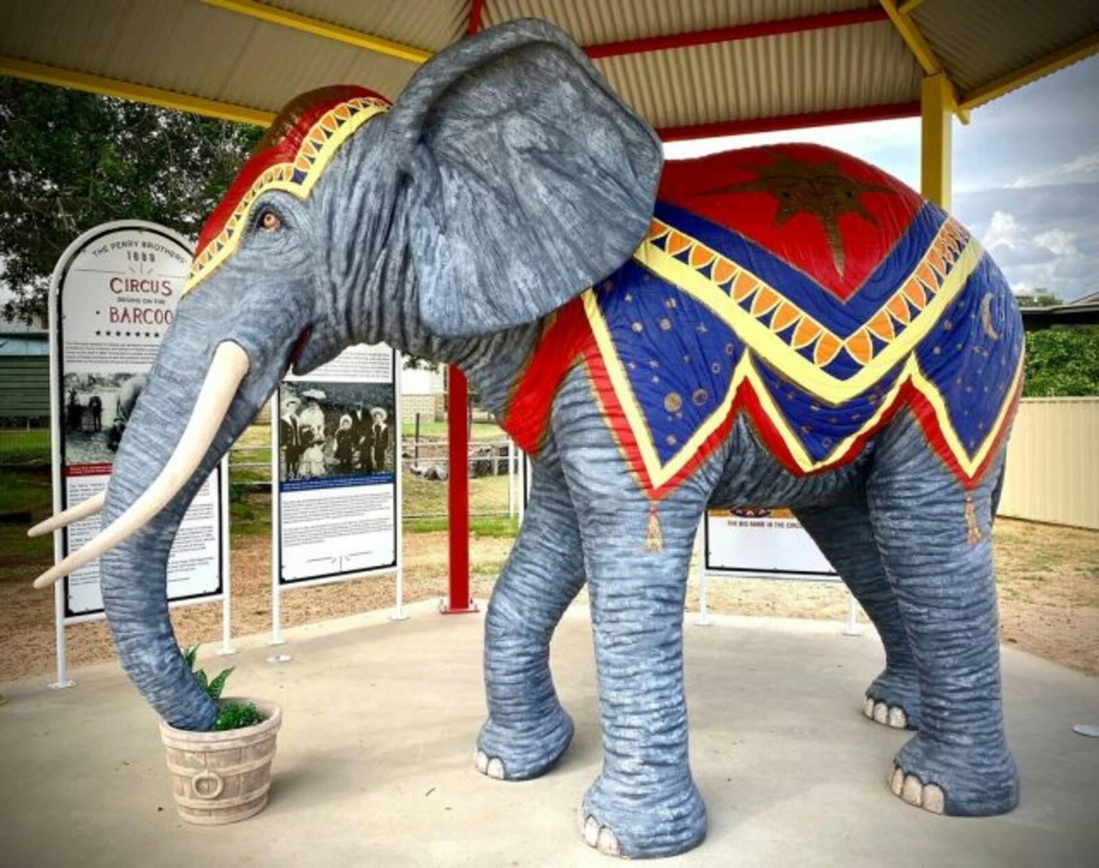 Perry Bros Circus Elephant | Attractions | Queensland