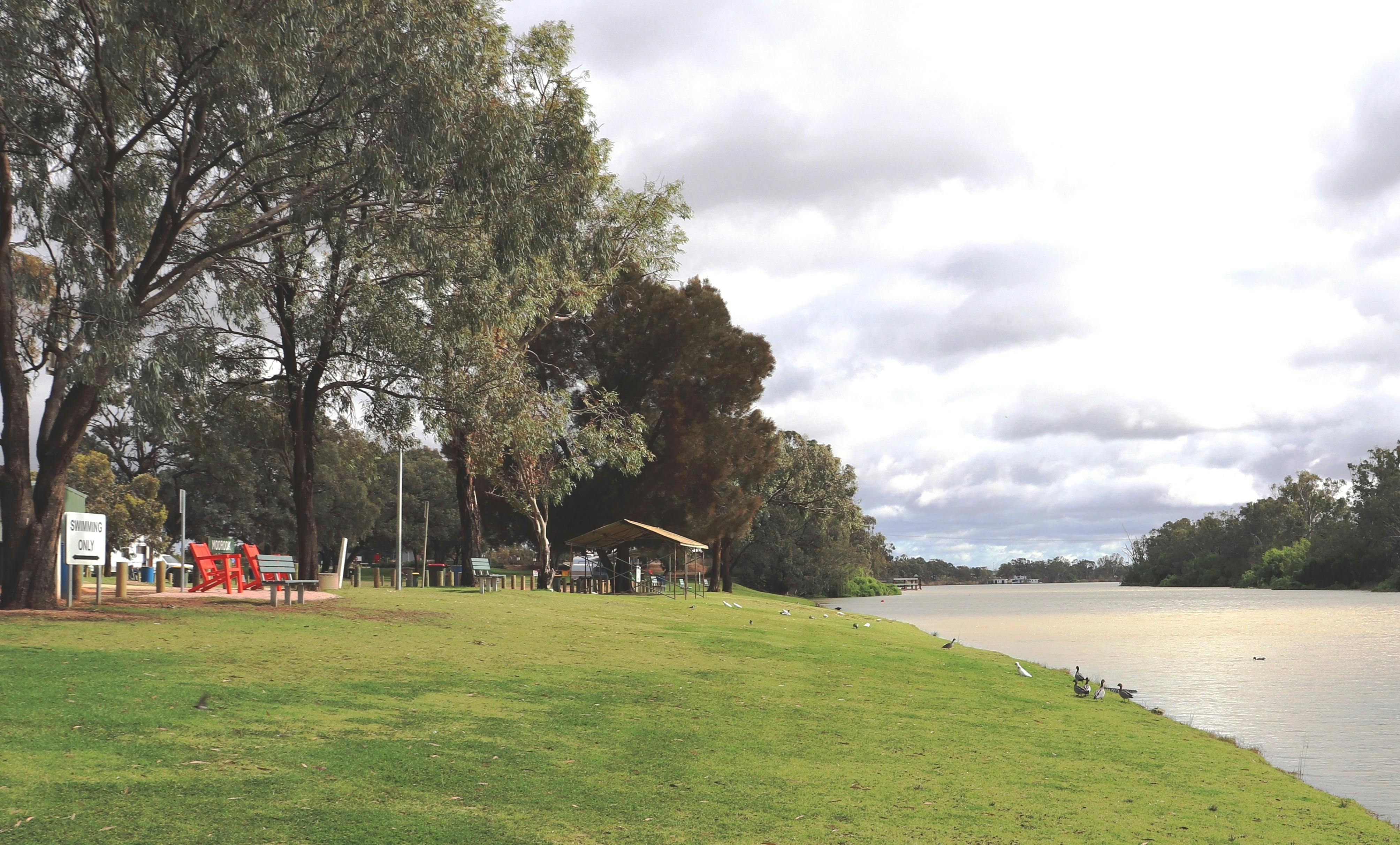 Moorook Riverfront Reserve - Moorook, Attraction | South Australia