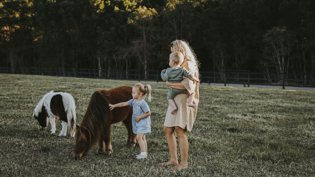 Sixty6 Acres Woombye | Accommodation | Queensland