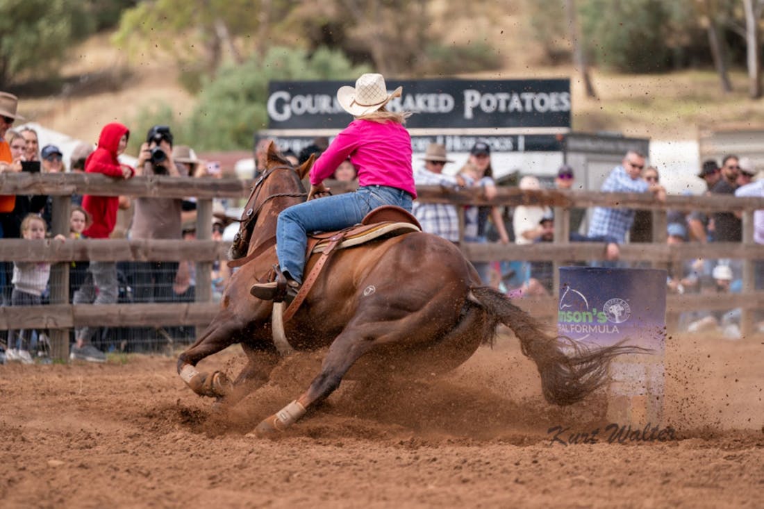 Barossa Timed Event Rodeo - Lyndoch, Event | South Australia