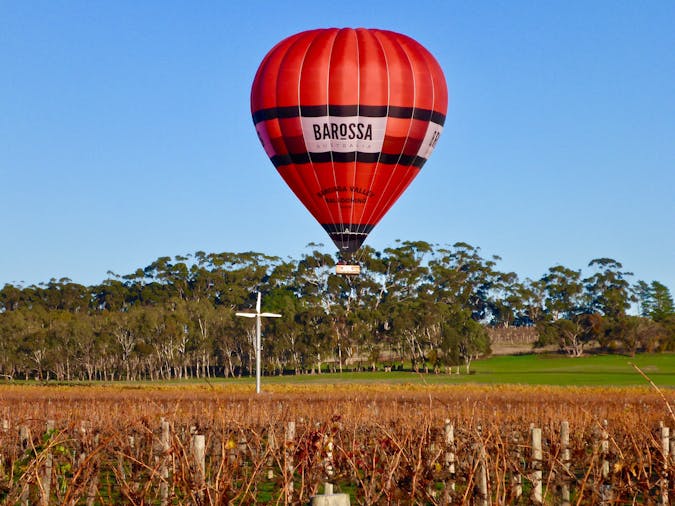 Barossa Valley Ballooning - Seppeltsfield, Tour | SA Tourism