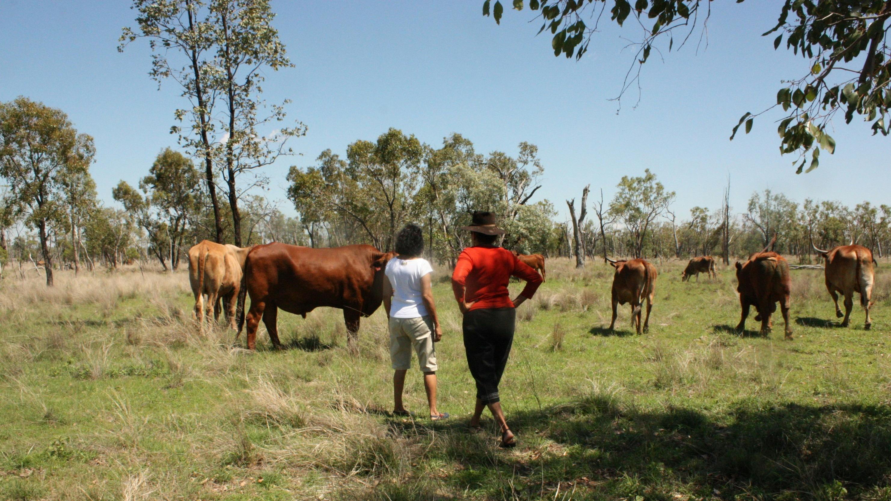 Outback Queensland Stratford Country - Outback Queensland