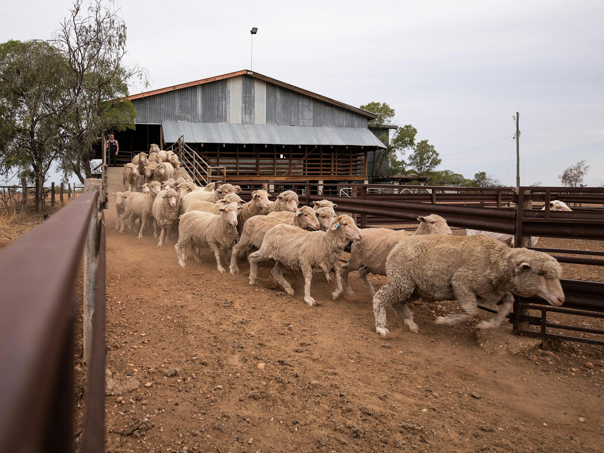 Outback Queensland Outback Pioneers - Outback Queensland