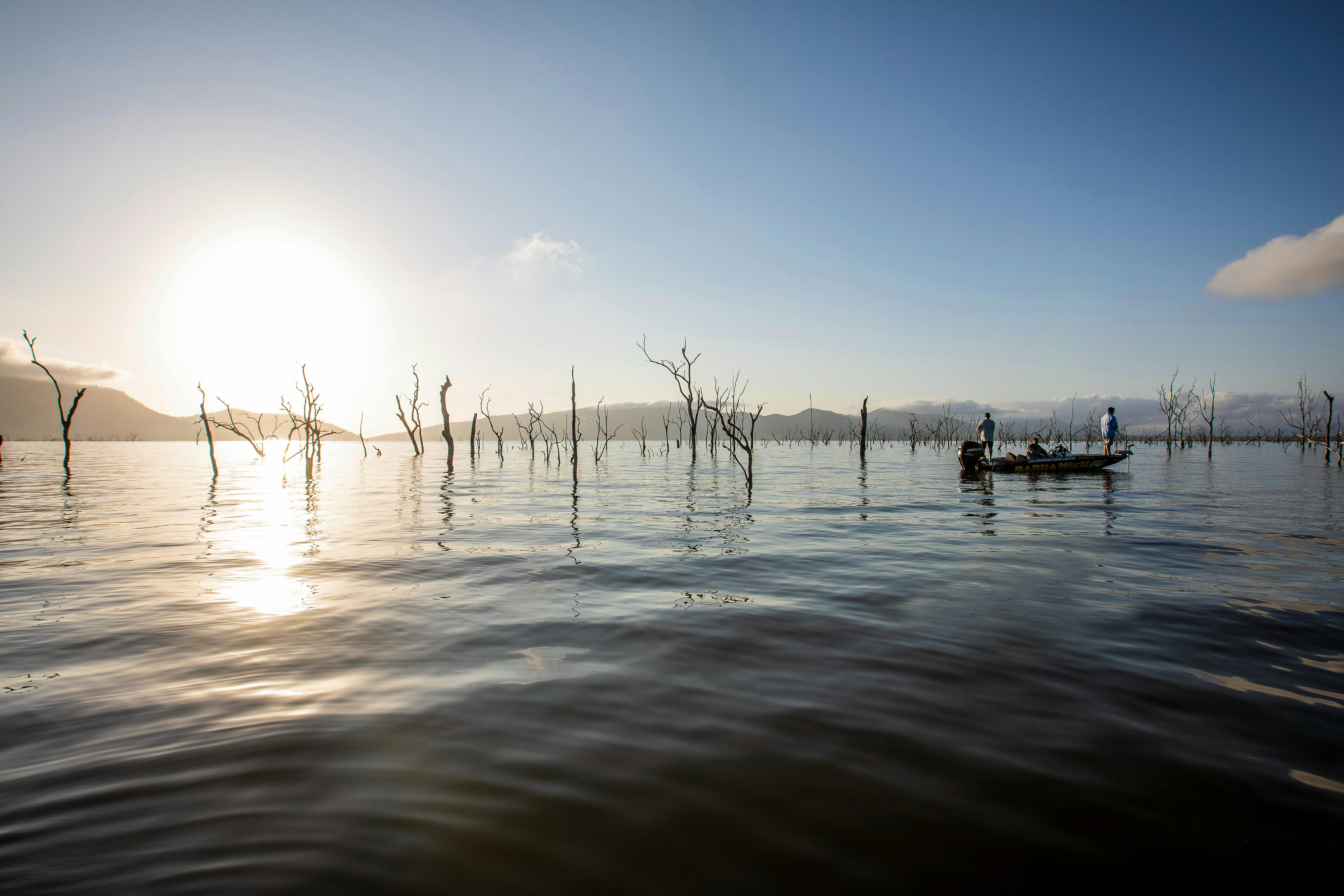 Lake Proserpine | Browse and Book Nearby Caravan Parks