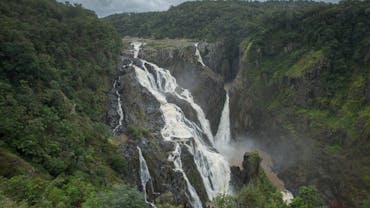 Simba Car Hire Cairns Airport | Hire | Queensland