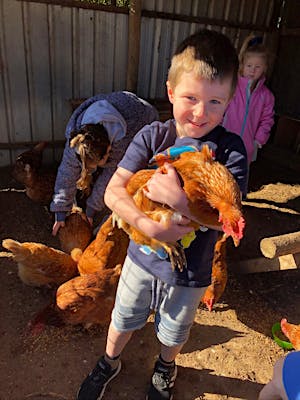Tarnasey Farm Little Farmer Tours - Wallaroo, Tour | South Australia