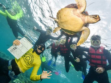 Discover Queensland National Parks - Nature and Wildlife | Queensland