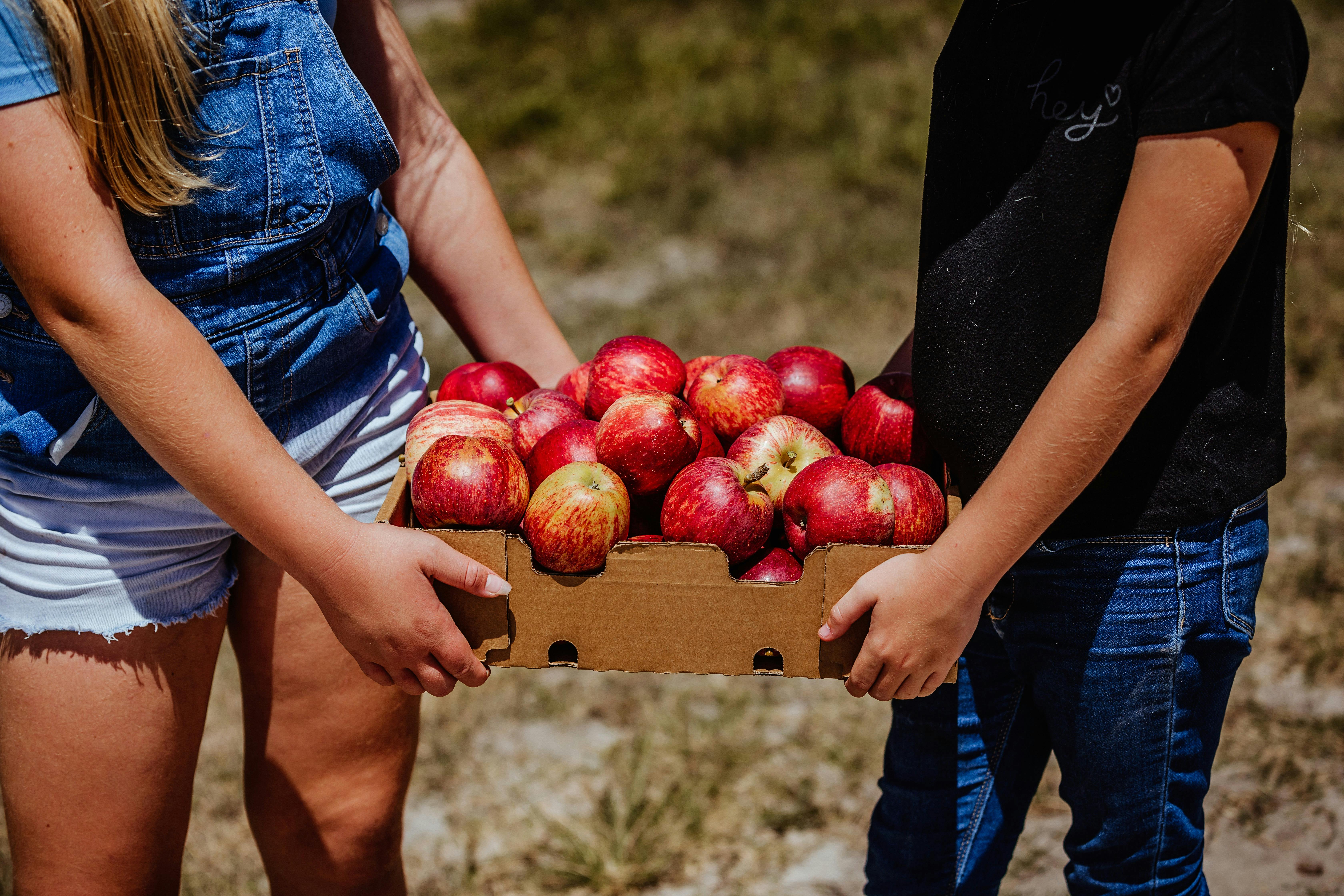 Eastern Colour in Applethorpe - The Fold: Your Guide to Everything ...