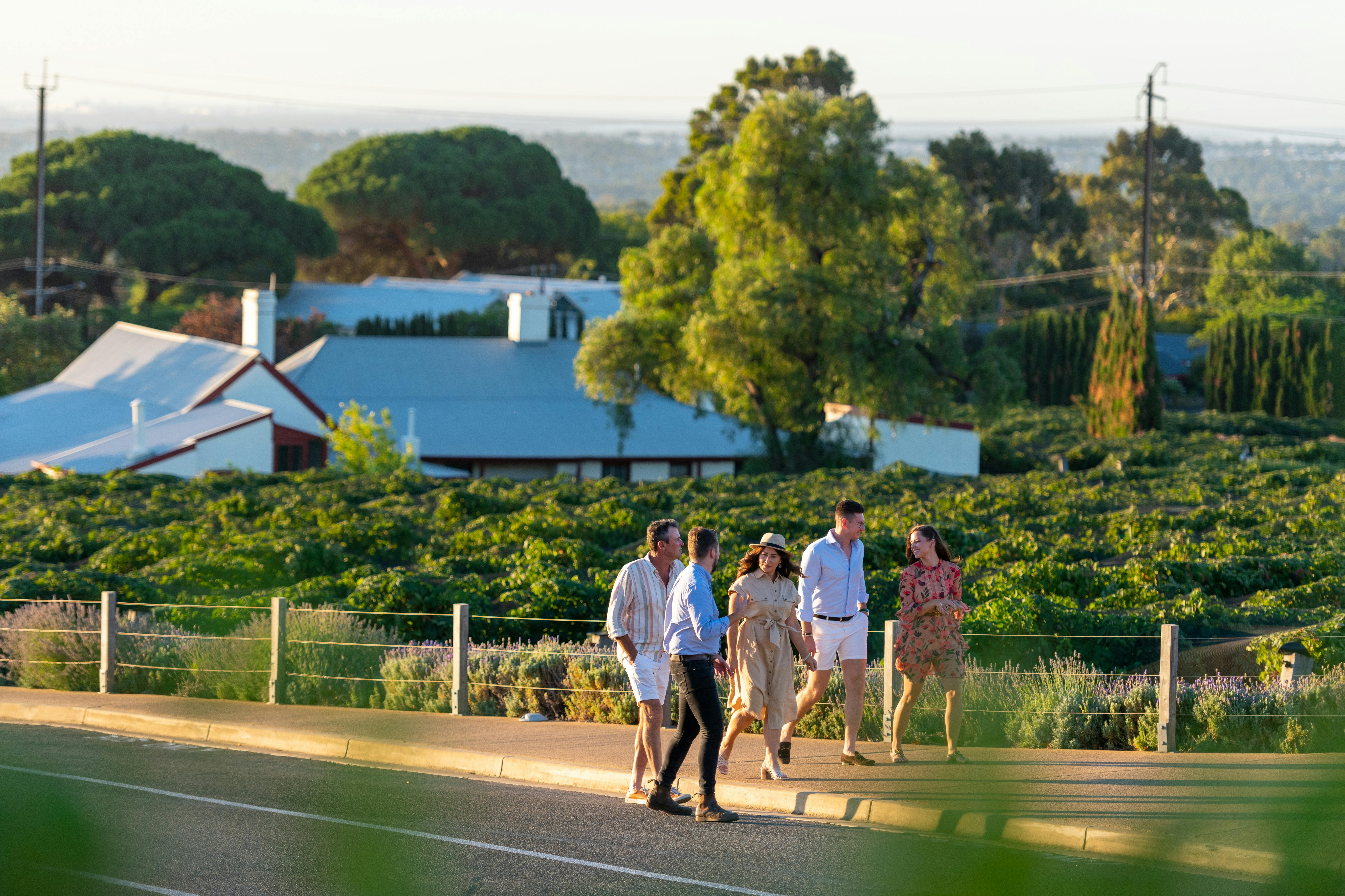 Penfolds Magill Estate Cellar Door Experiences - Adelaide, Tour