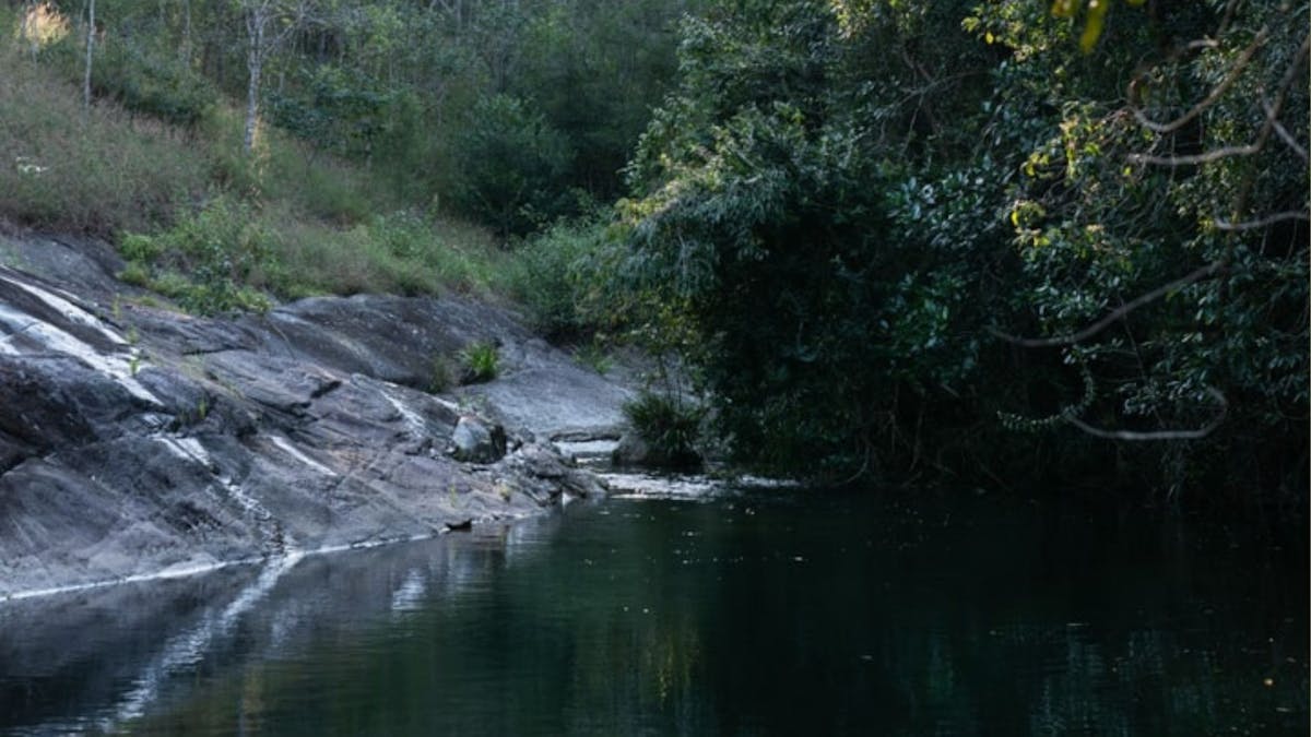 Julatten | Destination-information | Queensland