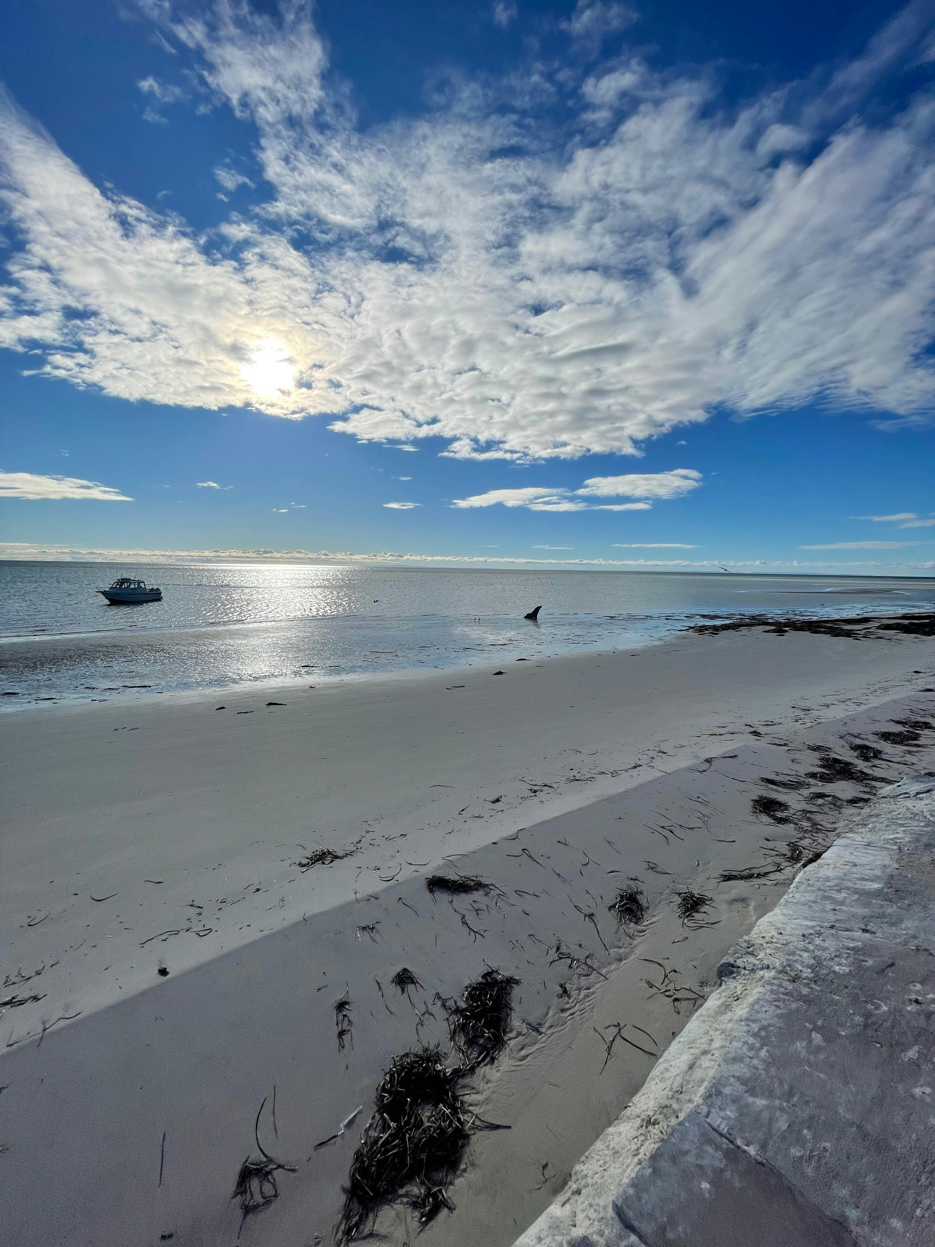 Troubridge Island Escape & Charters - Wool Bay, Accommodation | S...