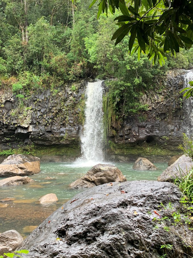 Tully Visitor Information Centre | Cairns & Great Barrier Reef