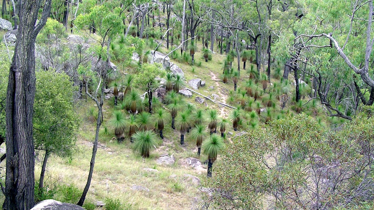 Coomba Falls | Attractions | Queensland