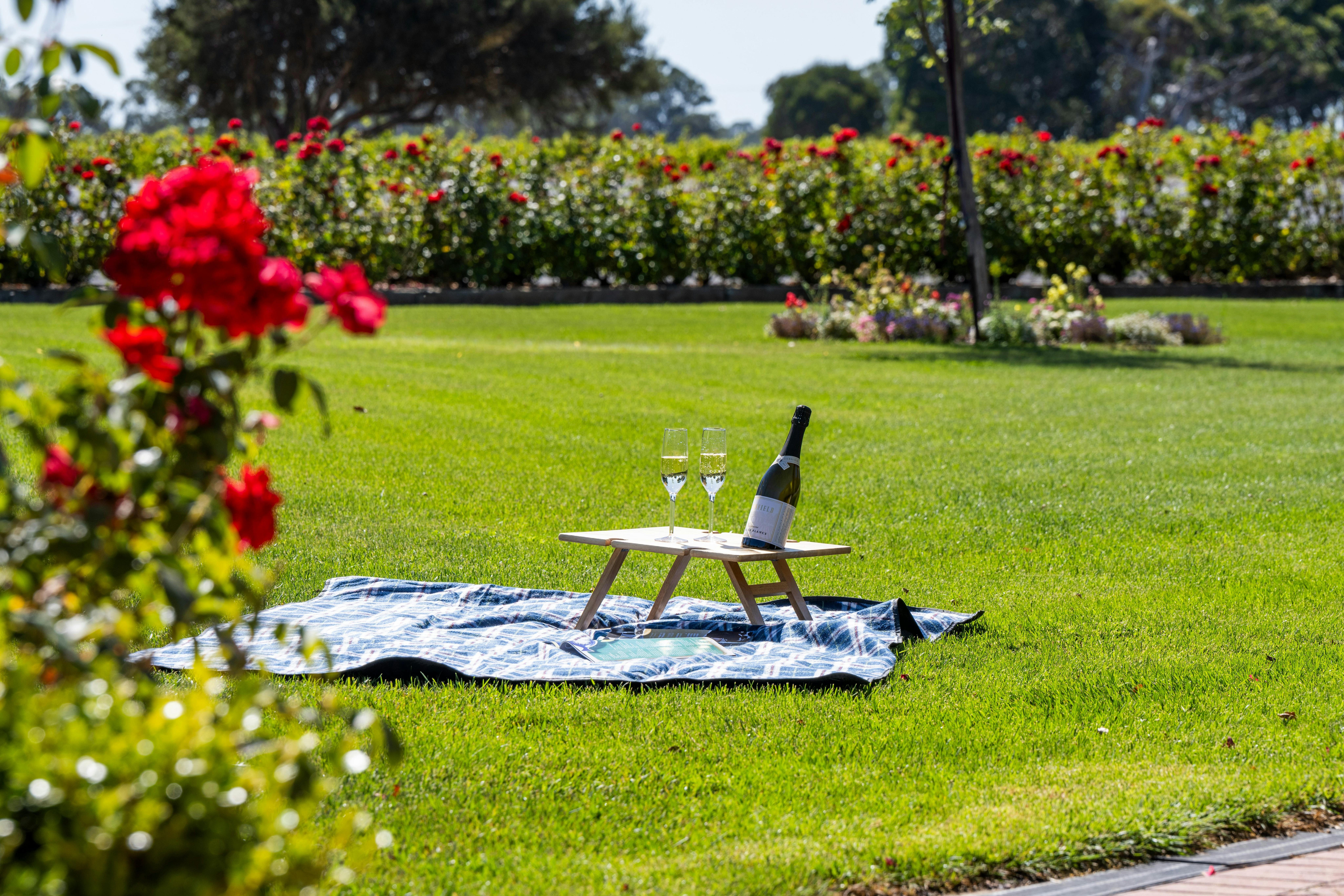 Leconfield Coonawarra in Penola - The Fold: Your Guide to Everything ...