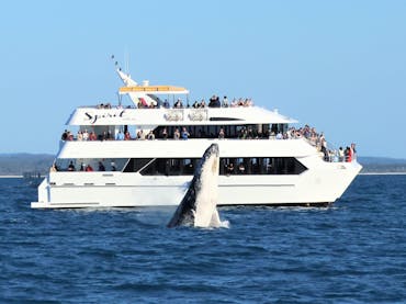 Inskip Point | Attractions | Queensland
