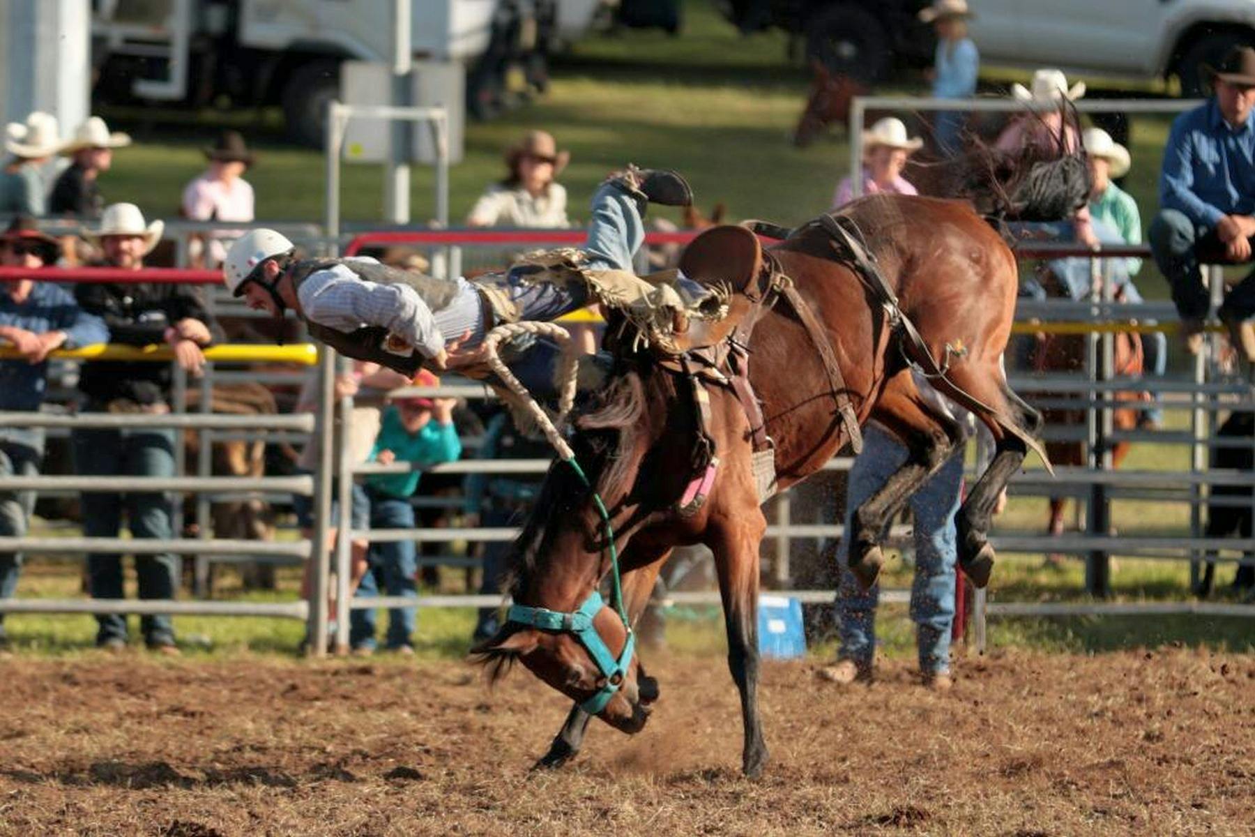 Dungog Rodeo | Events10