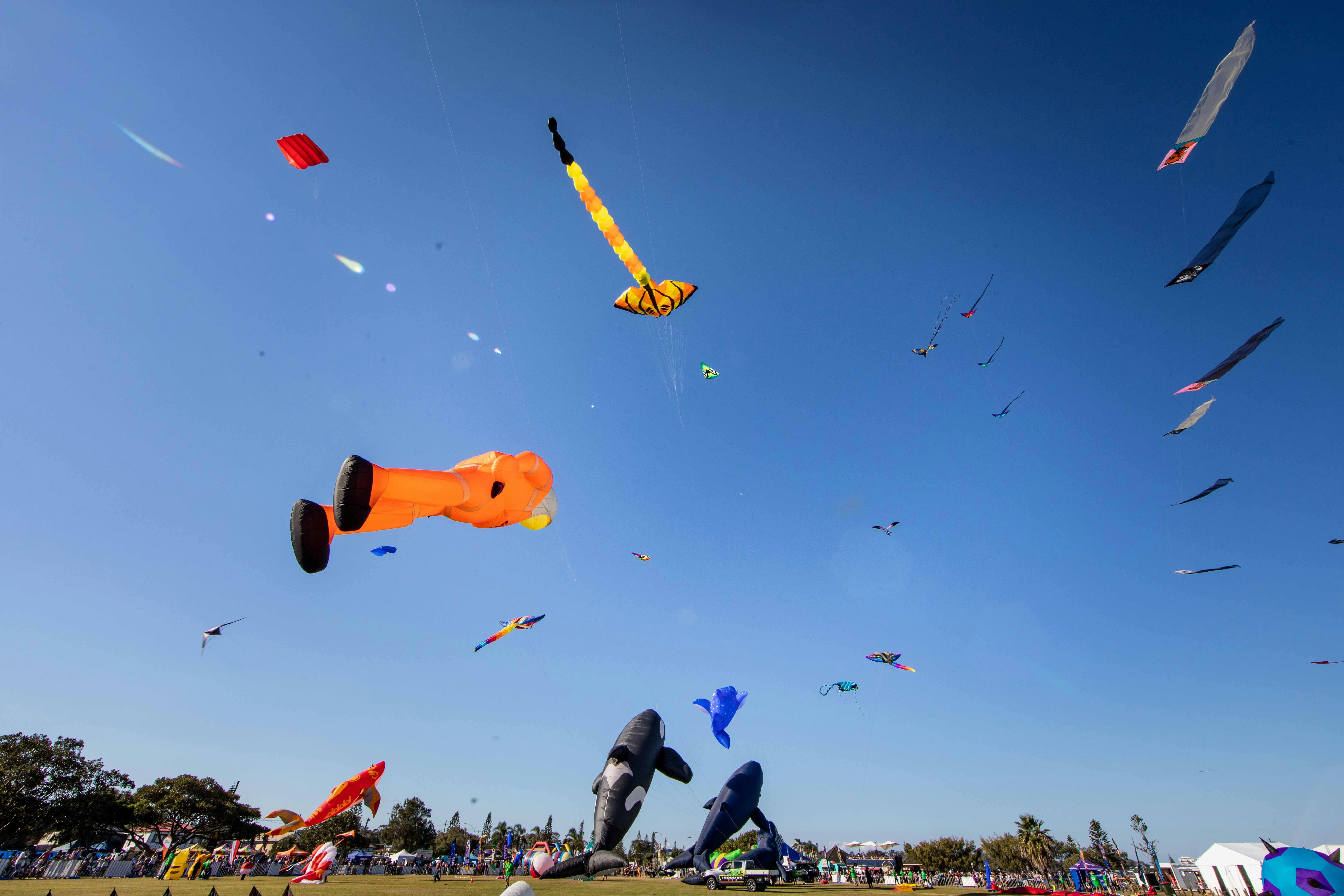 Redcliffe KiteFest