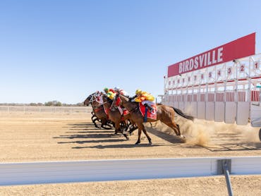Birdsville Races Starting Gates