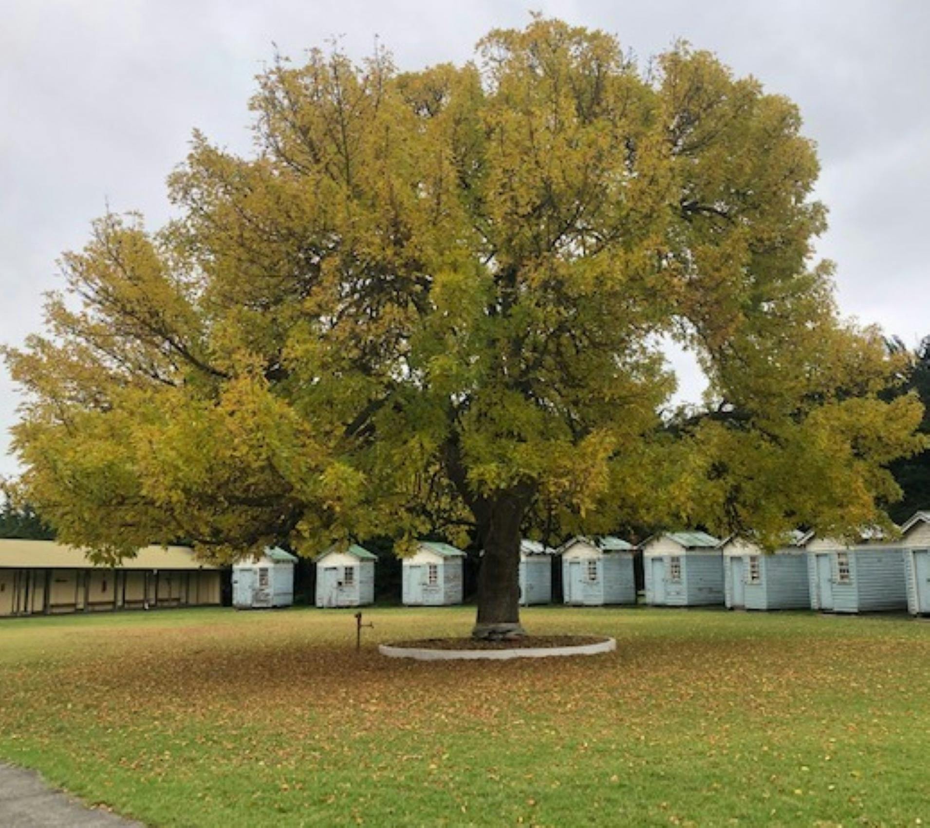 Camp Cooriemungle - Visit Great Ocean Road