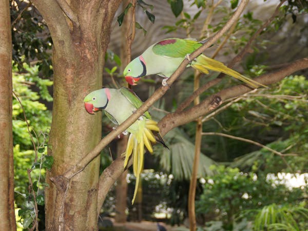 Apple Tree Creek | Destination-information | Queensland