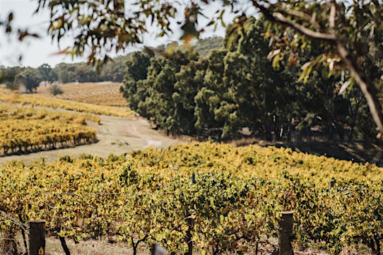 Skillogalee Restaurant - Spring Gully, Food and Drink | South Aus...