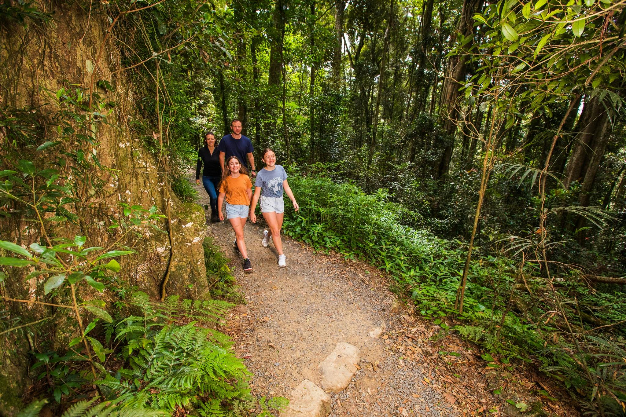 Binna Burra Activities