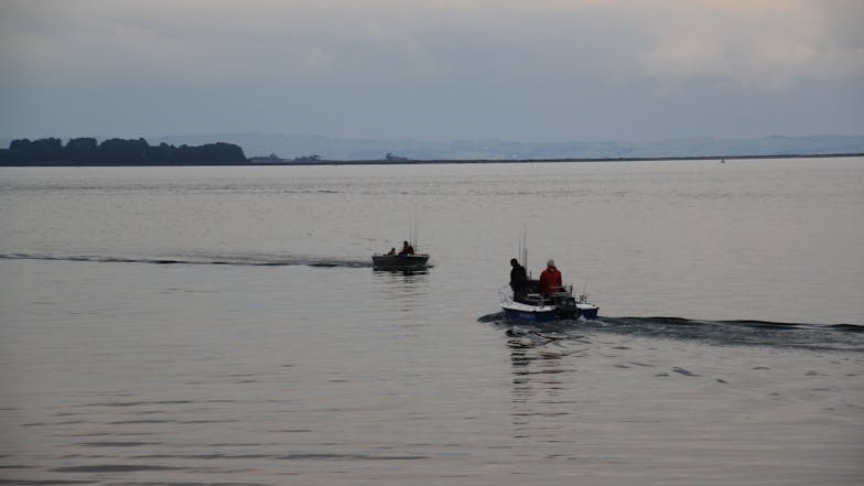 French Island Marine National Park — National Parks + Reserves — Visit ...