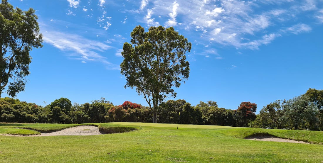 Millicent Golf Club - Mount Burr, Attraction | South Australia