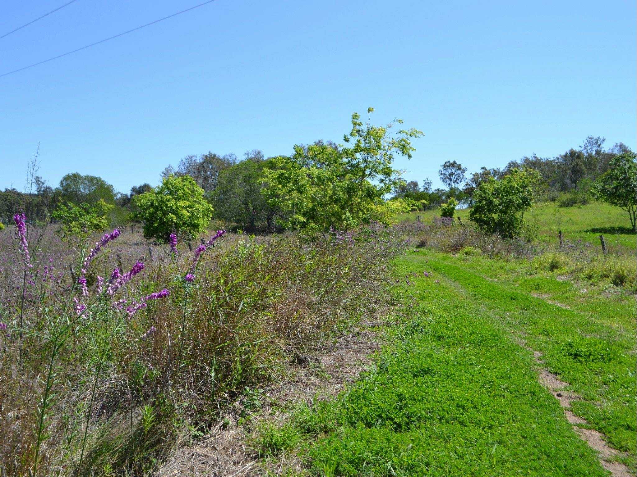 Brisbane Valley Rail Trail: Ipswich to Fernvale