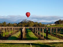 Barossa Valley Ballooning - Seppeltsfield, Tour | South Australia